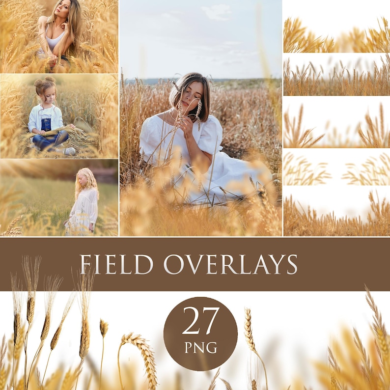 Field Overlays, Wheat Fields Overlay, Golden Field Photo Overlays ...