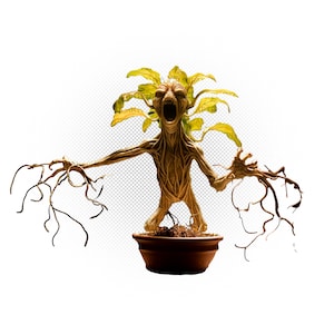 Mandrake Clipart, Mandragora Png, Baby Mandrakes Overlays, Magic Wizard ...