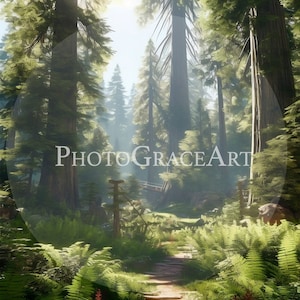 Forest Background, Mysterious Forest, Summer Field Digital Backdrop ...