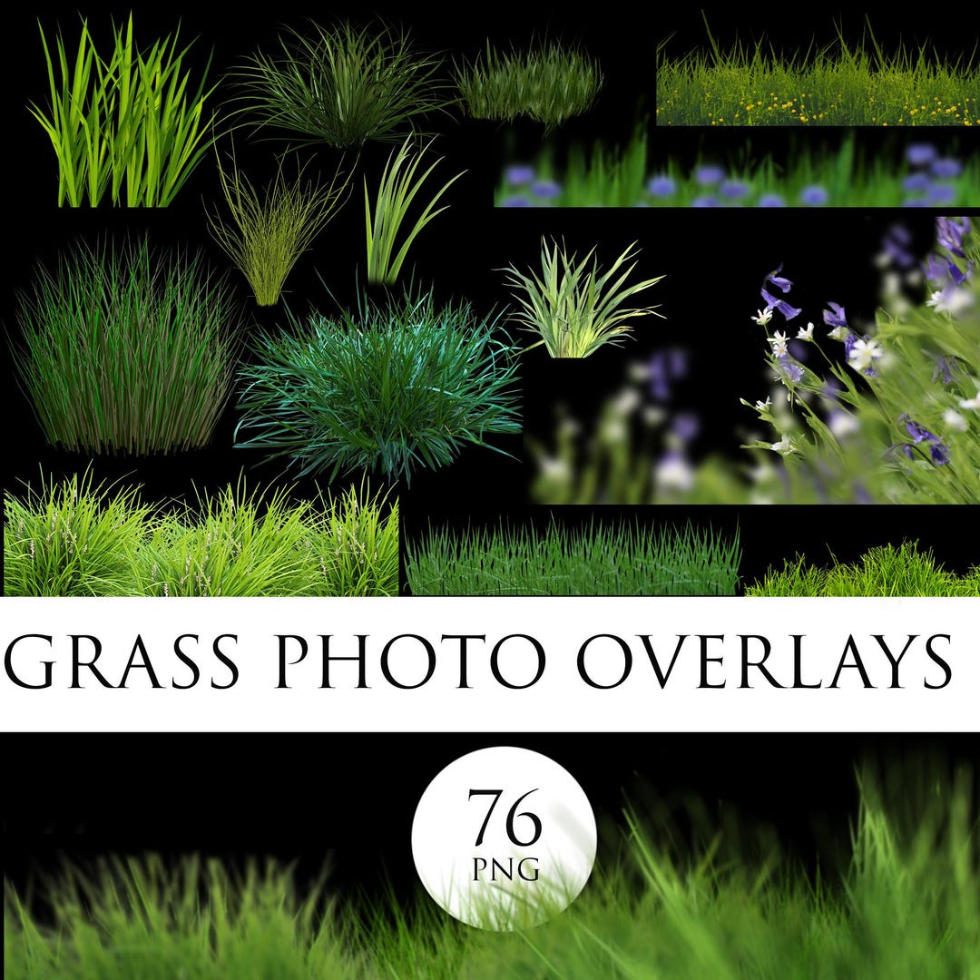 Grass Photo Overlays, Glade Photoshop Overlays, Grass Png, Foreground ...