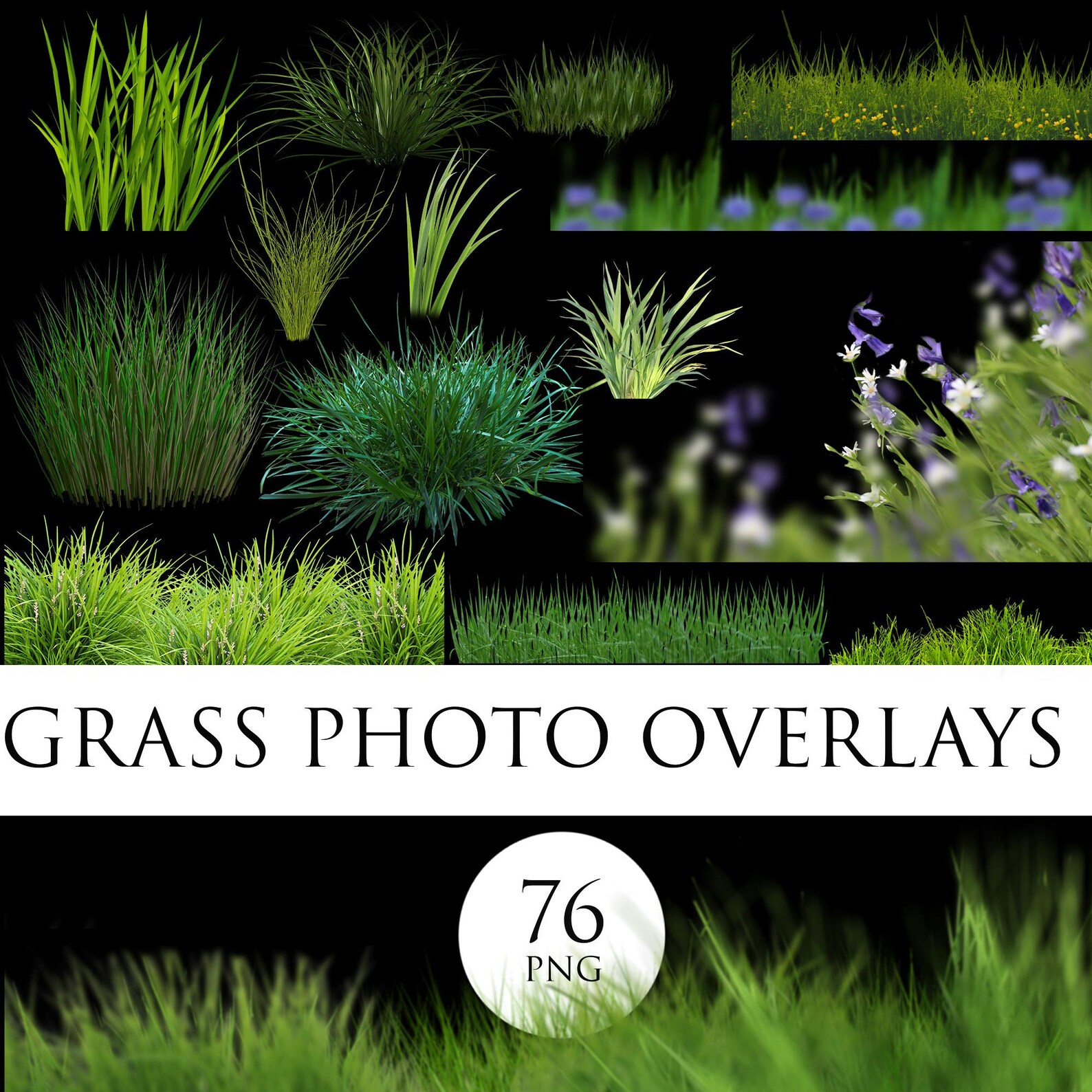 Grass Photo Overlays, Glade Photoshop Overlays, Grass Png, Foreground ...