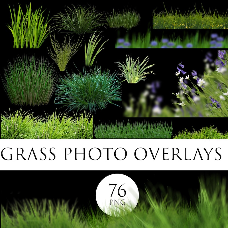 Grass Wall Backdrop - Etsy