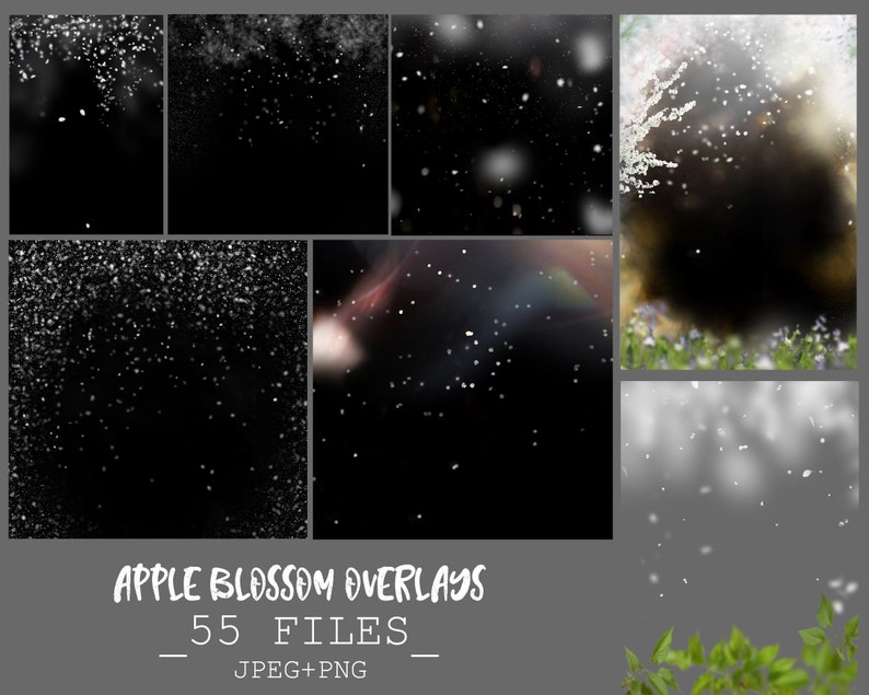 Apple Blossom Overlays Spring Overlays Blooming Spring - Etsy