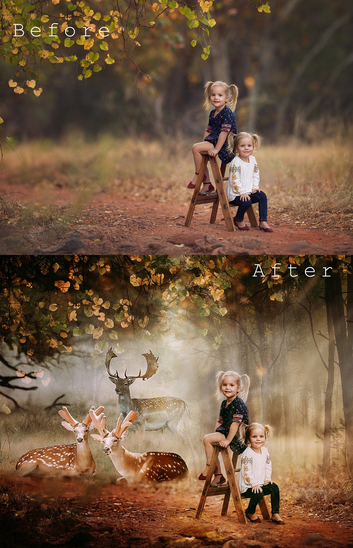Deer Overlays Animal Overlay and Photoshop Action Collection | Etsy