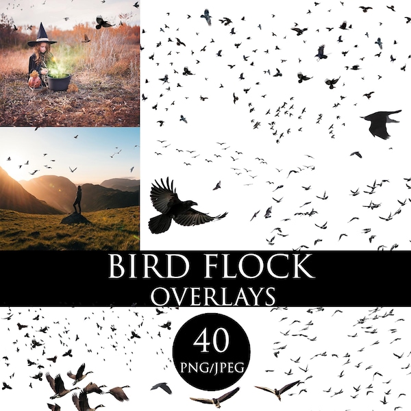 Flock of Crows - Etsy