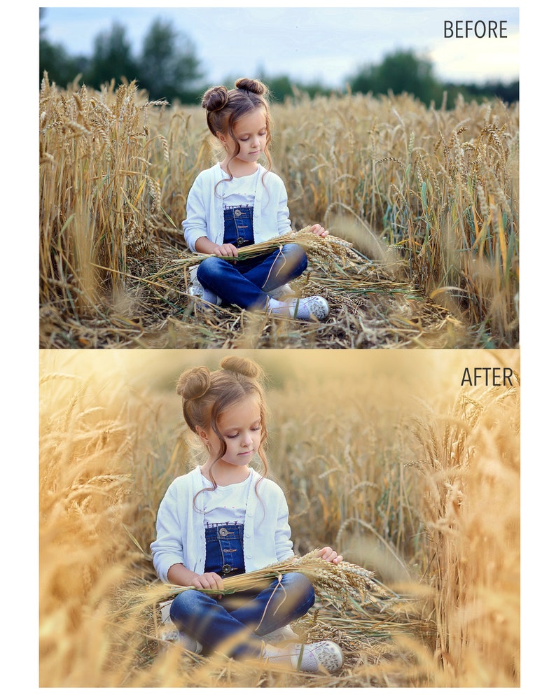 Field Overlays Wheat Fields Overlay Golden Field Photo - Etsy