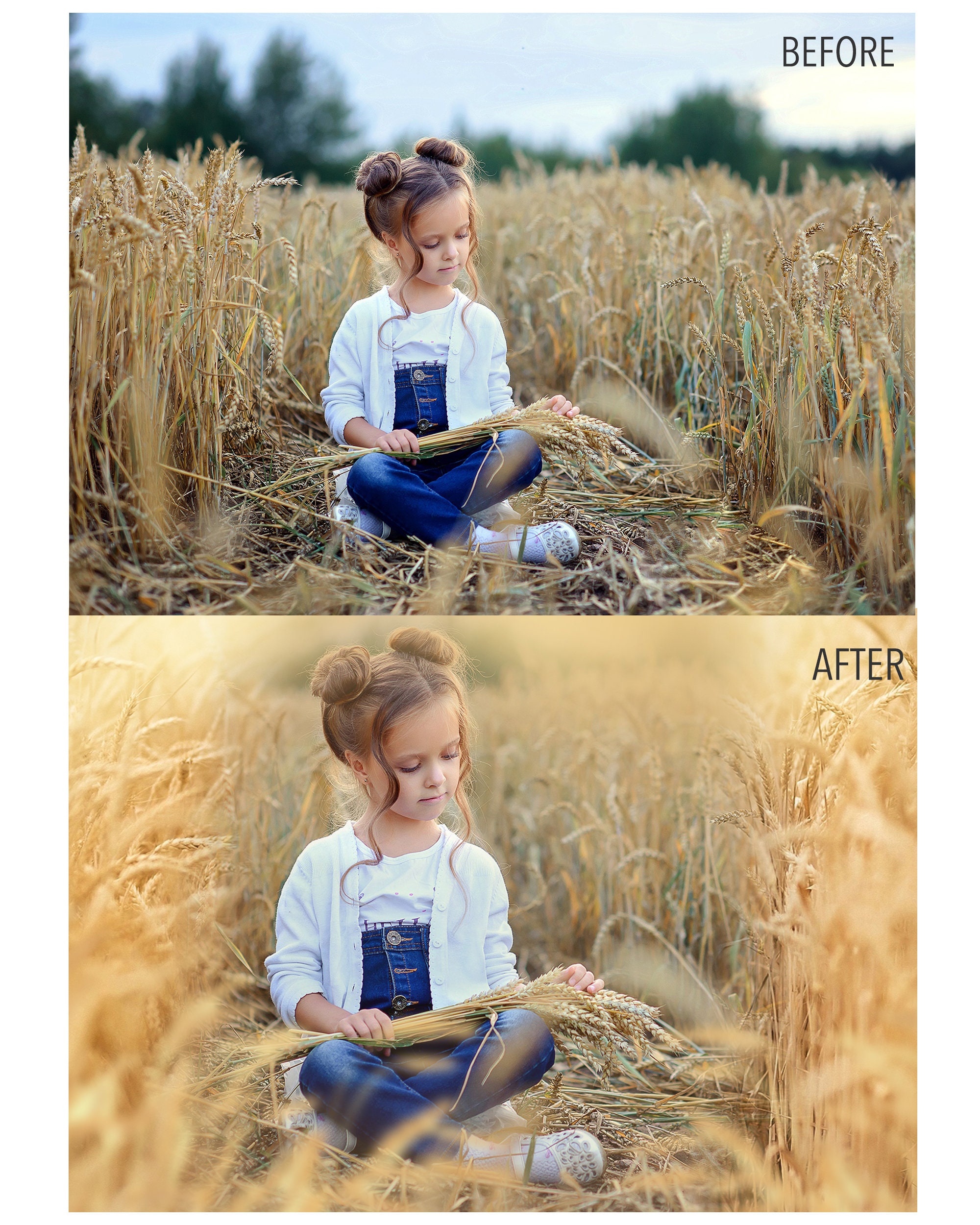Field Overlays, Wheat Fields Overlay, Golden Field Photo Overlays ...