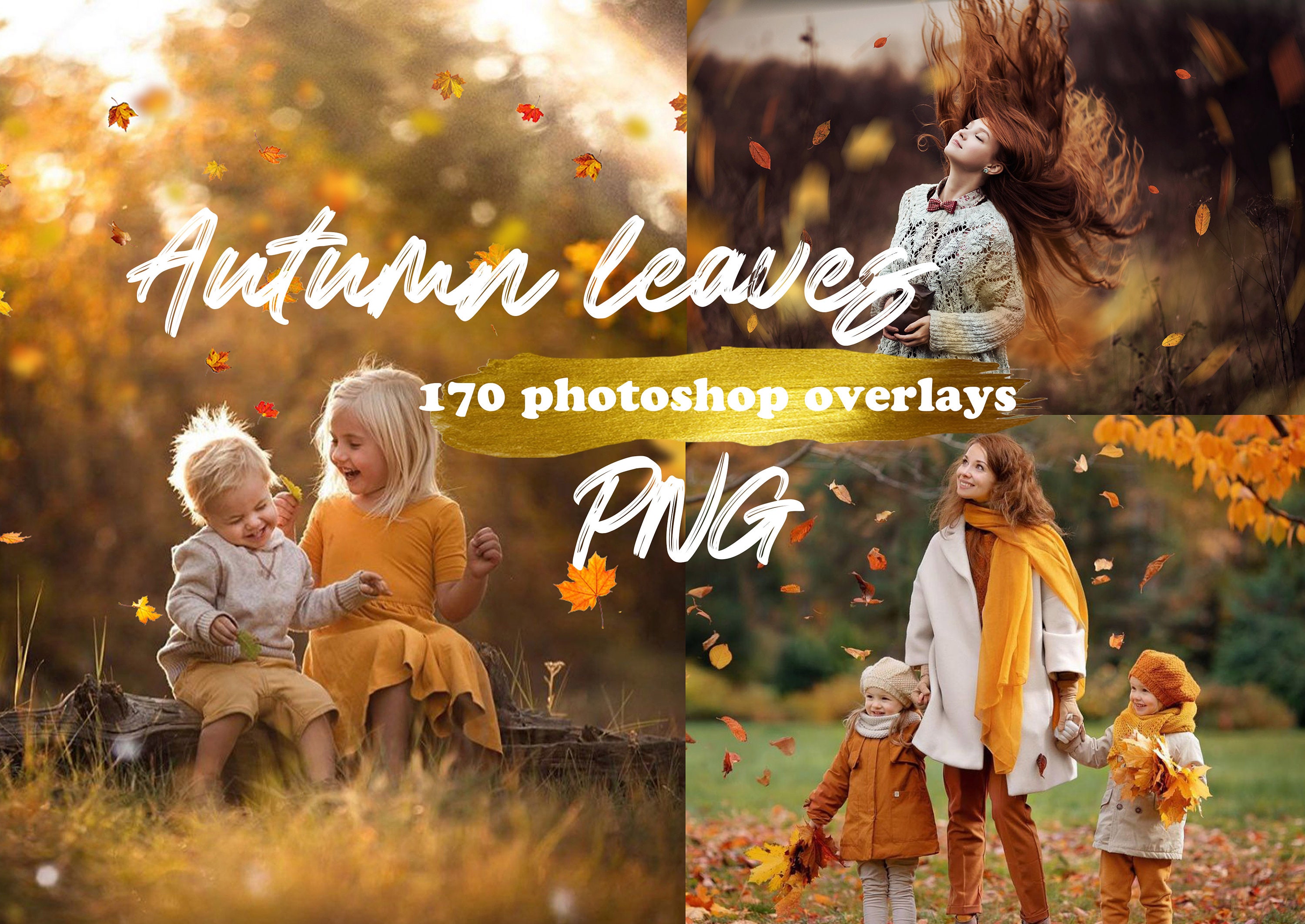 170 Autumn Leaves Png Autumn Leaves Photoshop Overlay Autumn | Etsy