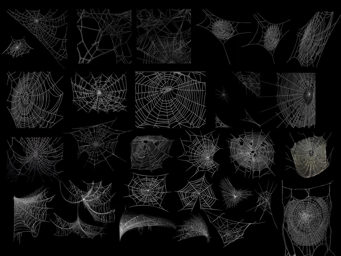 124 Cobweb Photo Overlays Cob Web Clipart Spider's Png - Etsy