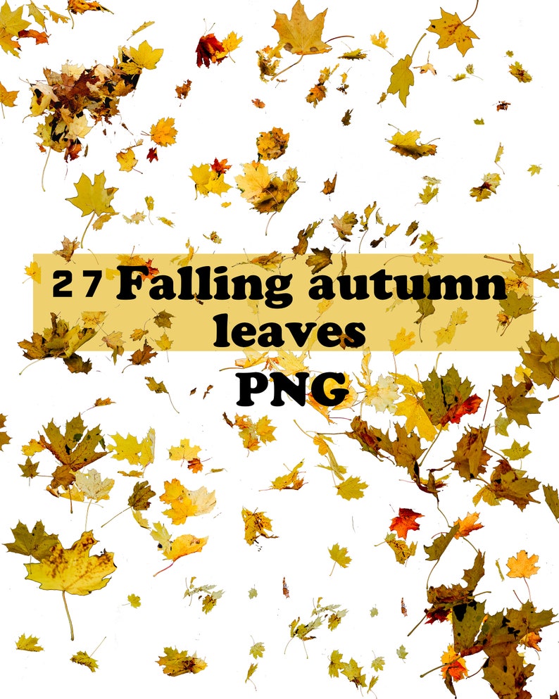 Autumn Leaf Png Autumn Leaves Overlays Falling Leaves Fall | Etsy