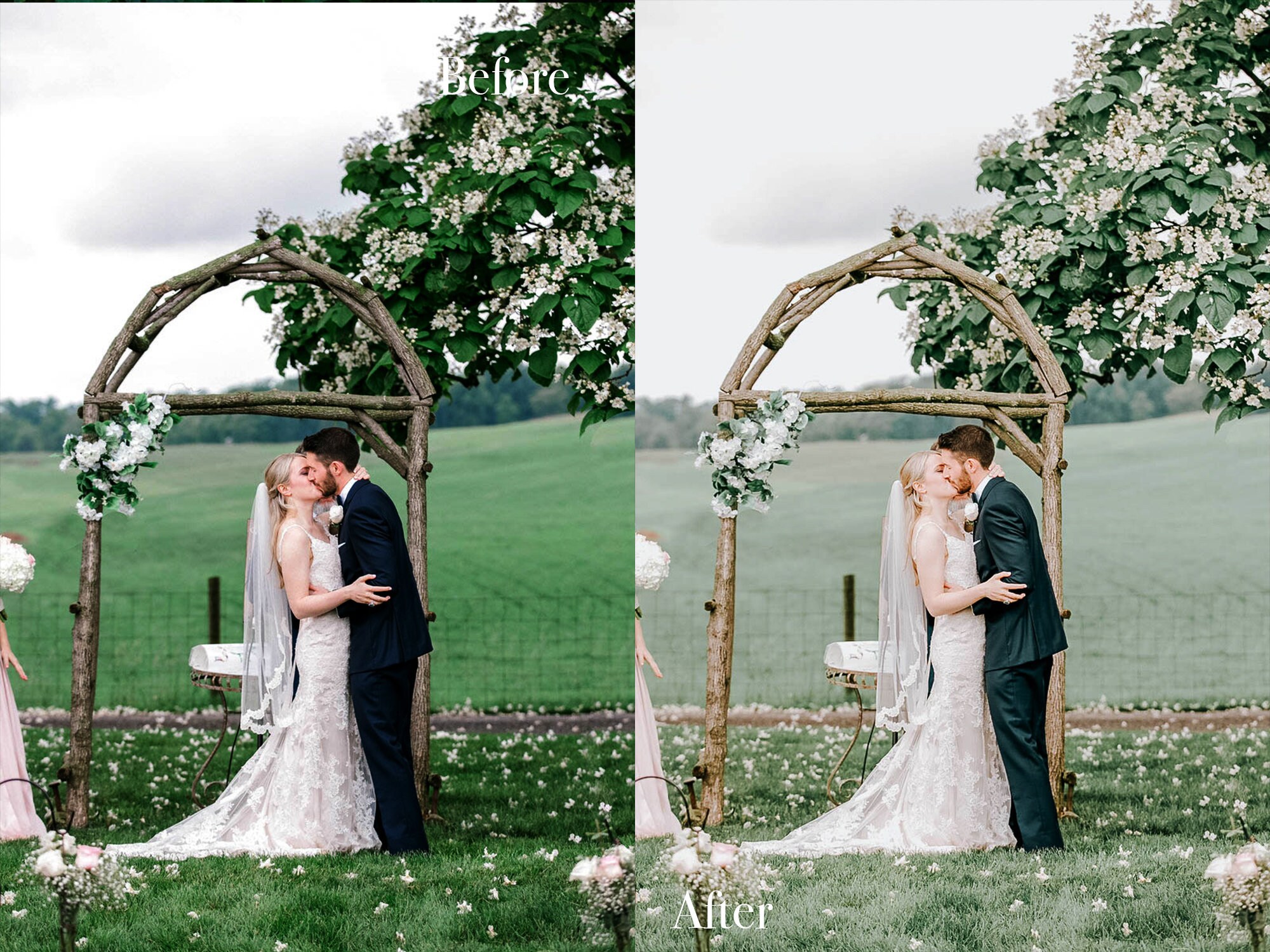 15 Fine Art Presets, Warm Presets, Bright Airy Presets, Clean Presets ...