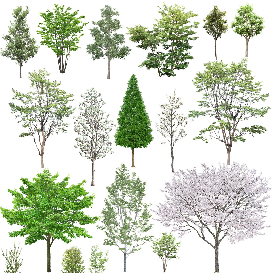 197 Green Tree Photoshop OverlaysGreen Branches Overlays | Etsy