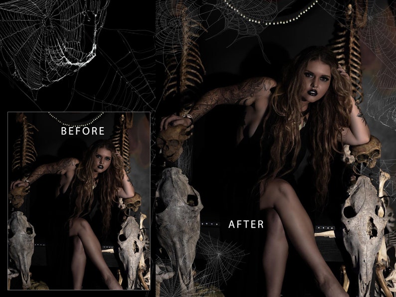 124 Cobweb Photo Overlays Cob Web Clipart Spider's Png - Etsy