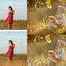 Field Overlays, Wheat Fields Overlay, Golden Field Photo Overlays ...