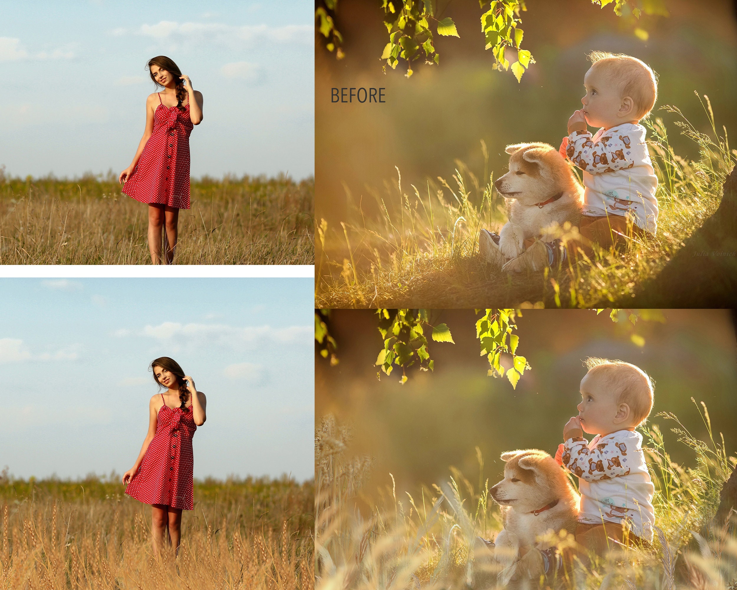 Field Overlays, Wheat Fields Overlay, Golden Field Photo Overlays ...