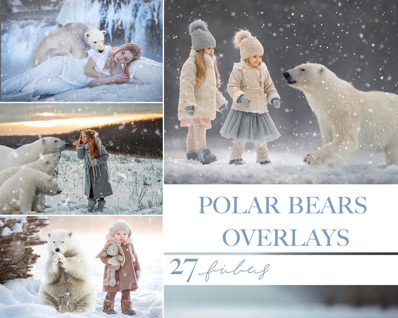 Polar Bears Overlays Bear Transparent Png Images Bears Photo - Etsy