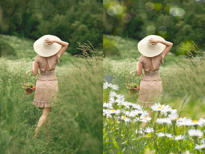 Daisies Photo Overlays: 40 PNG Floral Elements (digital Download) - Etsy