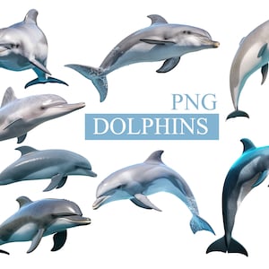 Dolphins Overlay Photoshop, Photo Composite, Digital Dolphin PNG ...