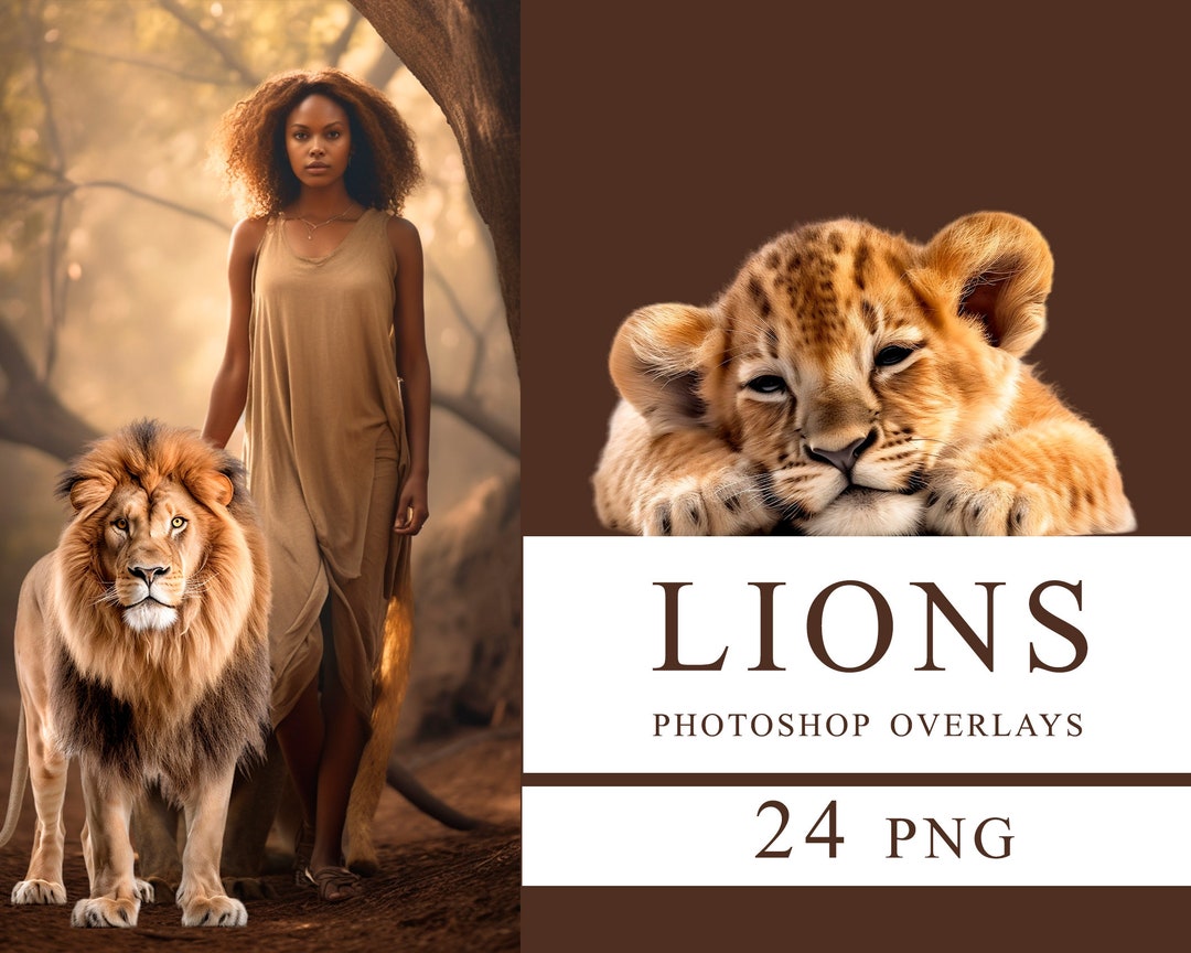 Lions Clipart, Lions Overlays, Cute Animal Png, Lions Png, Baby Lion ...