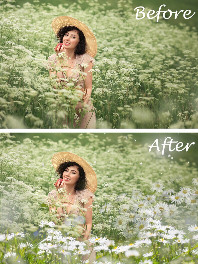 Daisies Photo Overlays: 40 PNG Floral Elements (digital Download) - Etsy