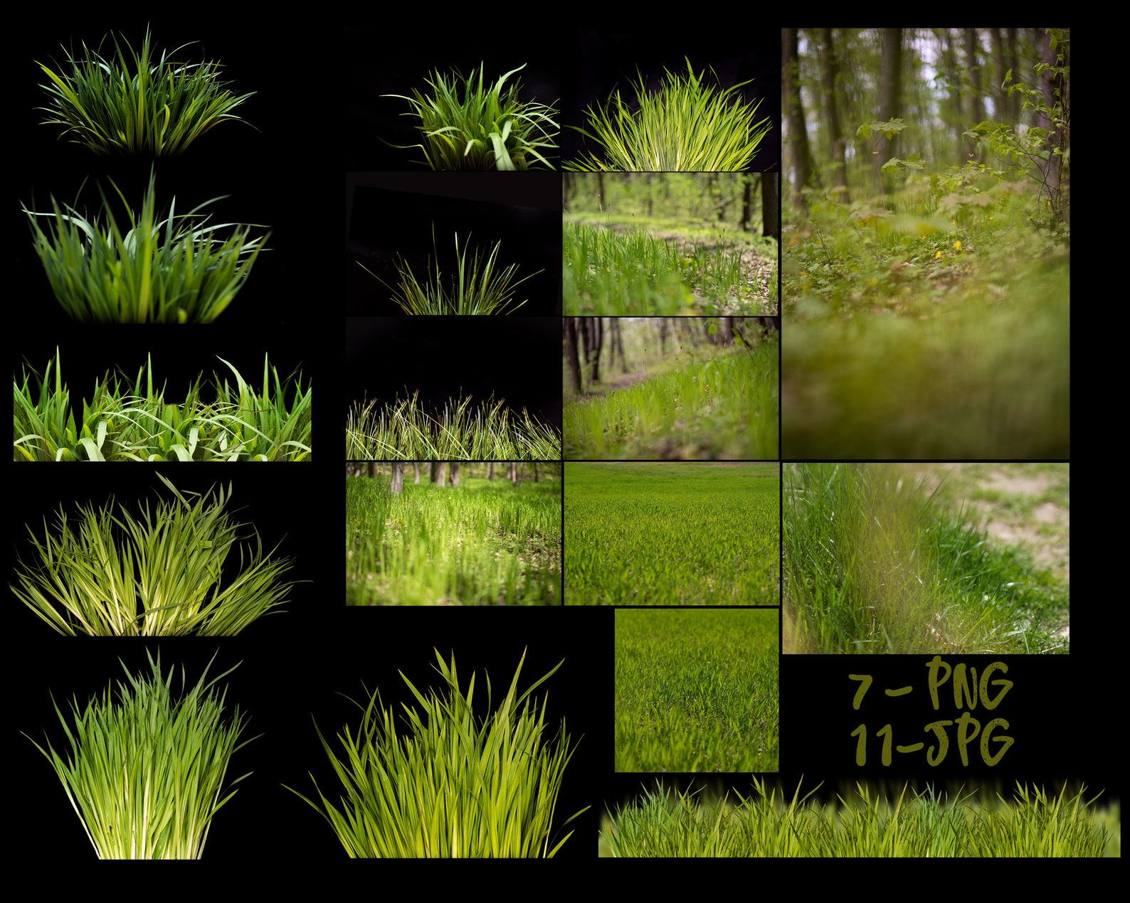 Grass Photo Overlays, Glade Photoshop Overlays, Grass Png, Foreground ...