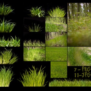 Grass Photo Overlays, Glade Photoshop Overlays, Grass Png, Foreground ...