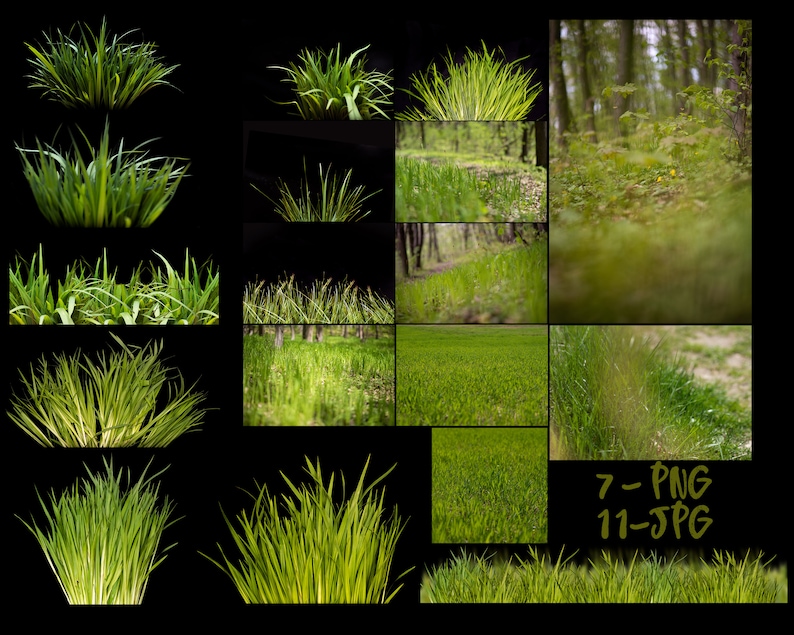 Grass Photo Overlays, Glade Photoshop Overlays, Grass Png, Foreground ...