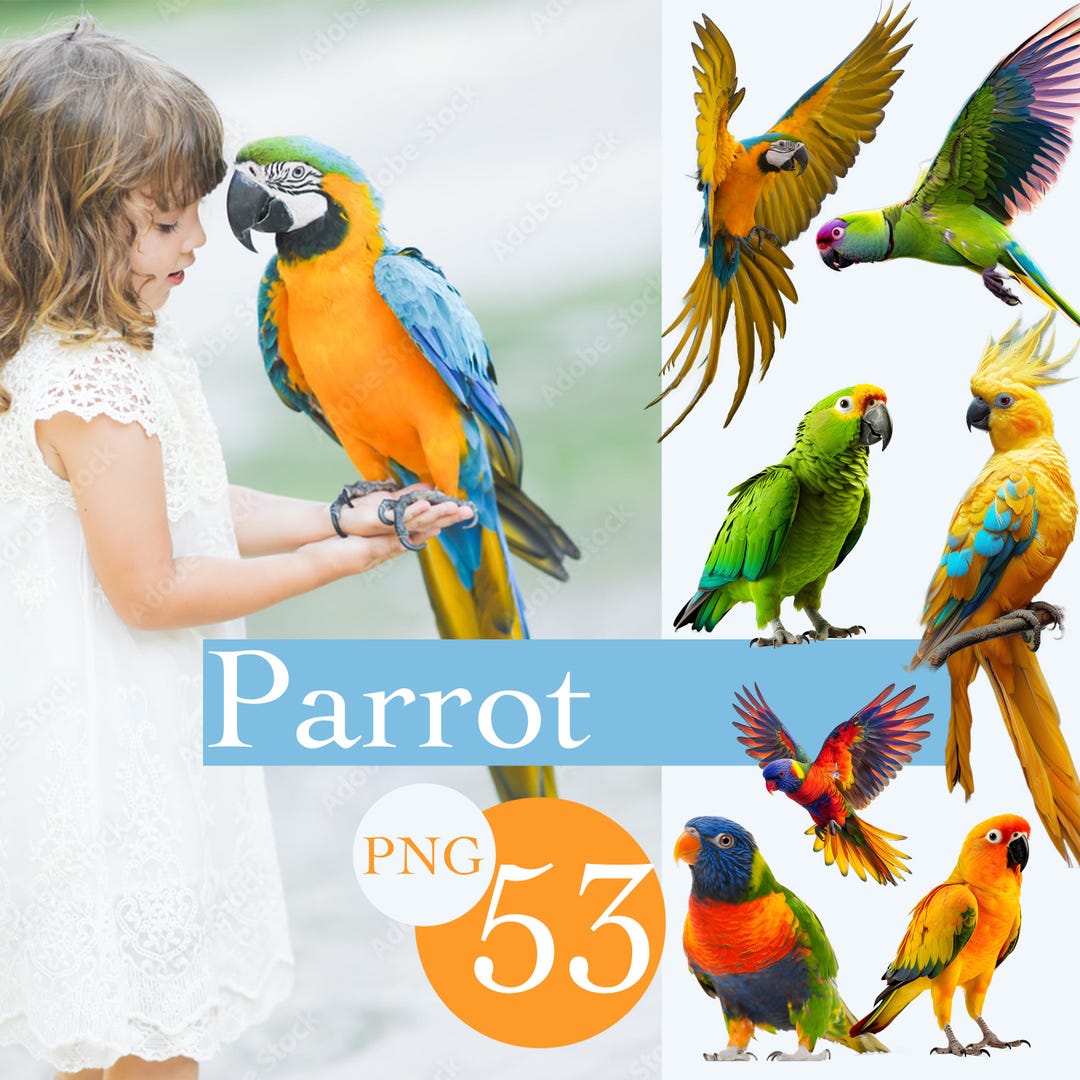 Parrot Clipart, Parrots Png, Parrots Overlay, Birds Png, Photoshop ...
