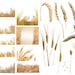 Field Overlays, Wheat Fields Overlay, Golden Field Photo Overlays ...