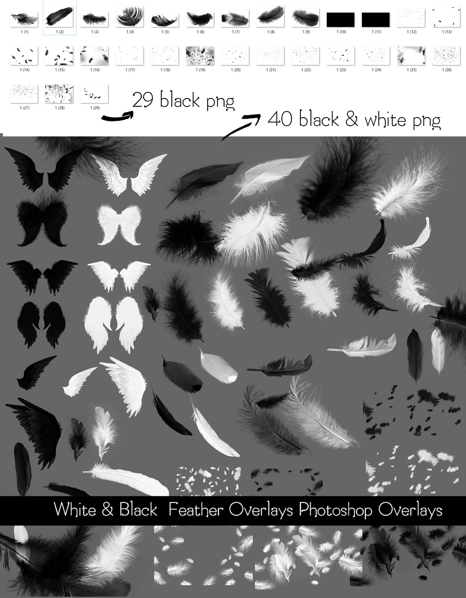 Feather Overlays, Feather Photo Overlay, Feather Photoshop Overlay ...