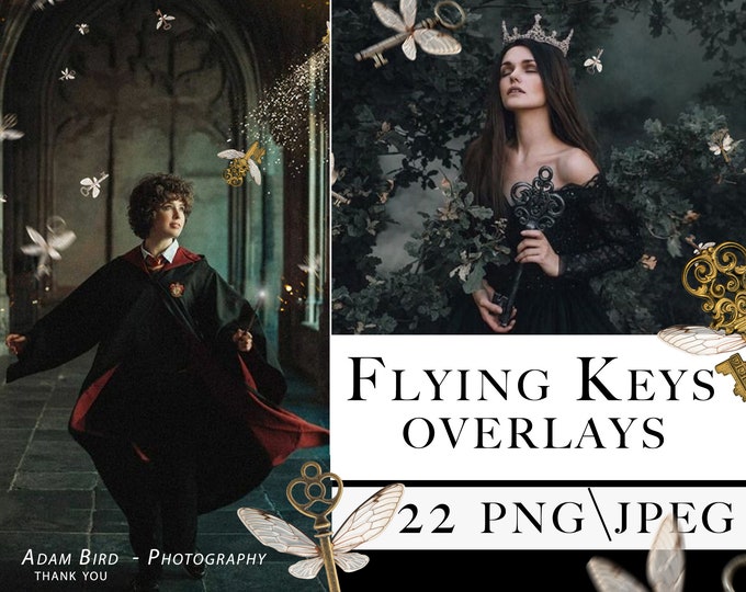 Wizard Flying Keys, Winged Keys Png, Wizard Movie Flying Keys, Magical ...