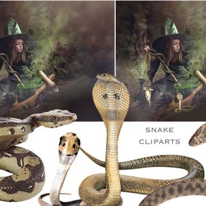Schlange PNG Overlays, Reptilien Cliparts, wilde Tiere, digitaler ...