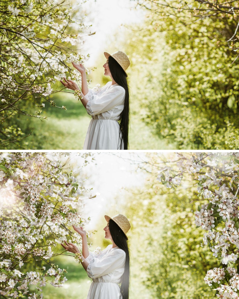 Apple Blossom Overlays Spring Overlays Blooming Spring - Etsy