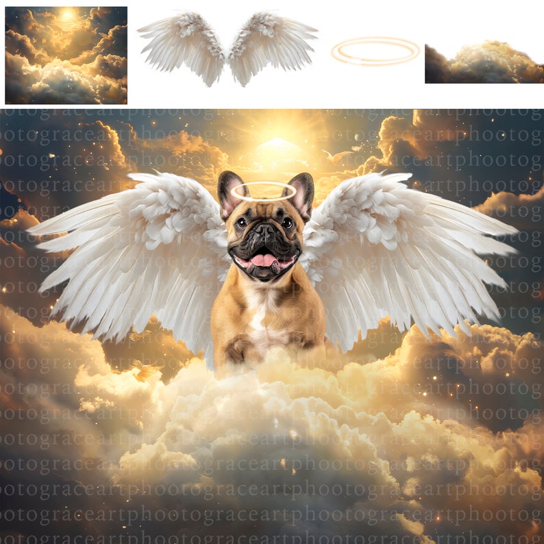 Pet Memorial, Pet Memorial Digital Background, Way to Heaven ...