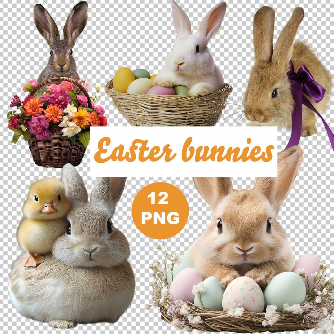Easter Bunnies, Easter Overlays, Photoshop Overlay, Bunny Overlays ...