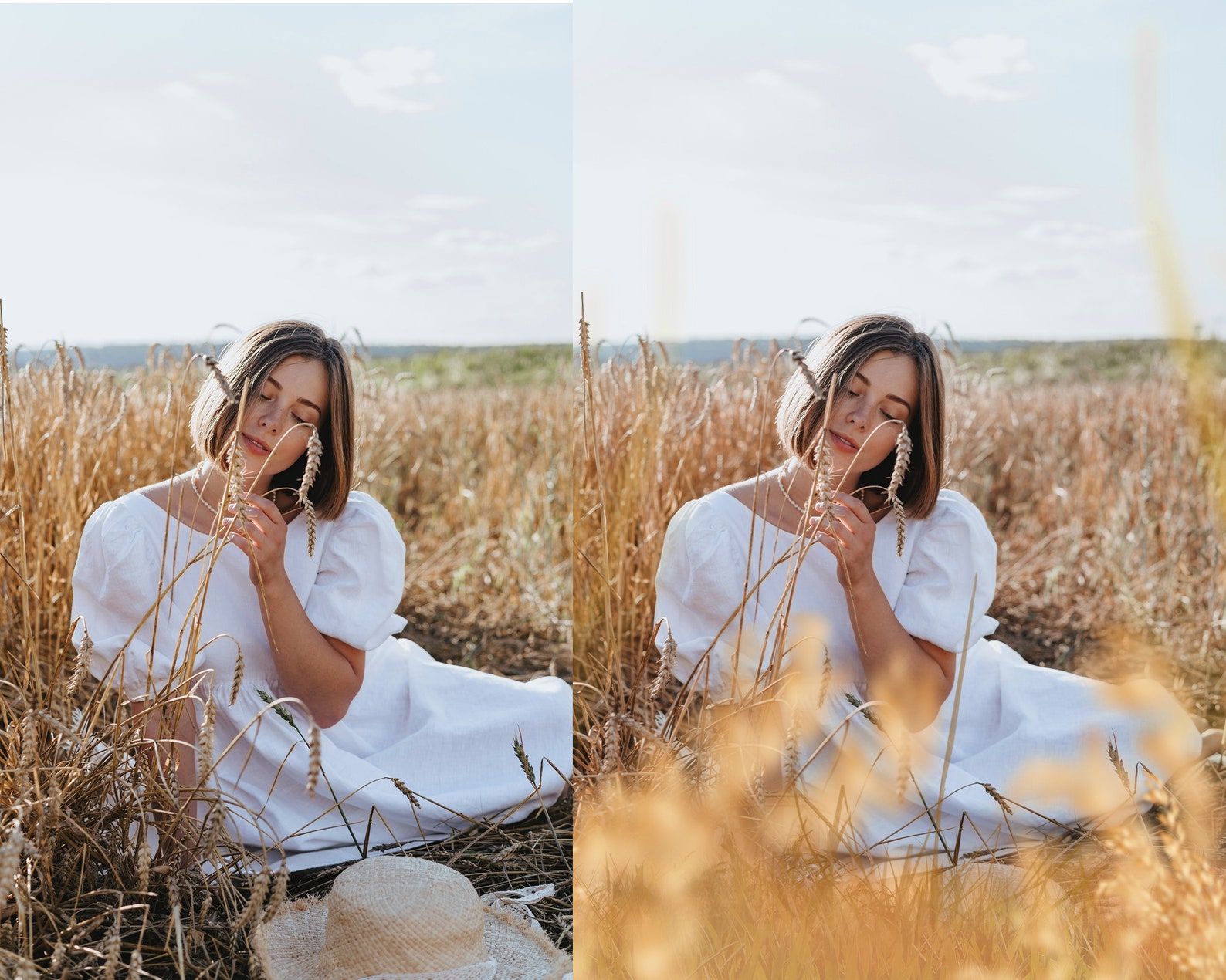 Field Overlays Wheat Fields Overlay Golden Field Photo - Etsy