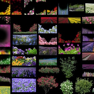 Flower Glade Photoshop Overlays, Flowering Field Photo Overlays ...