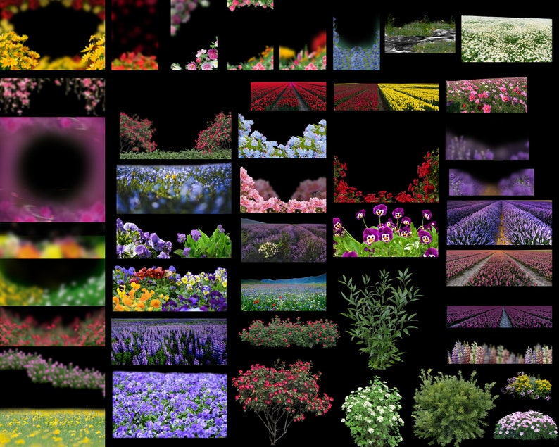 Flower Glade Photoshop Overlays Flowering Field Photo - Etsy