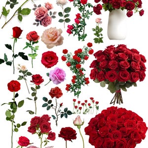 Roses Photo Overlays, Valentine's Day Overlays, Flower Overlays, Roses ...