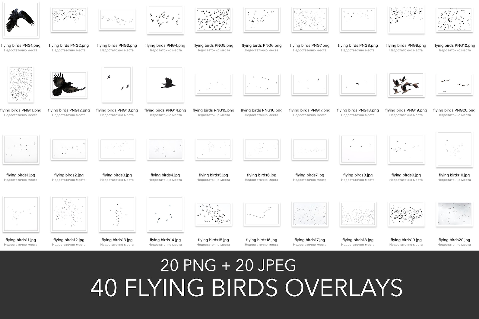 Bird Flock Png Bird Flock Overlays Bird Flock Fly Flock of - Etsy