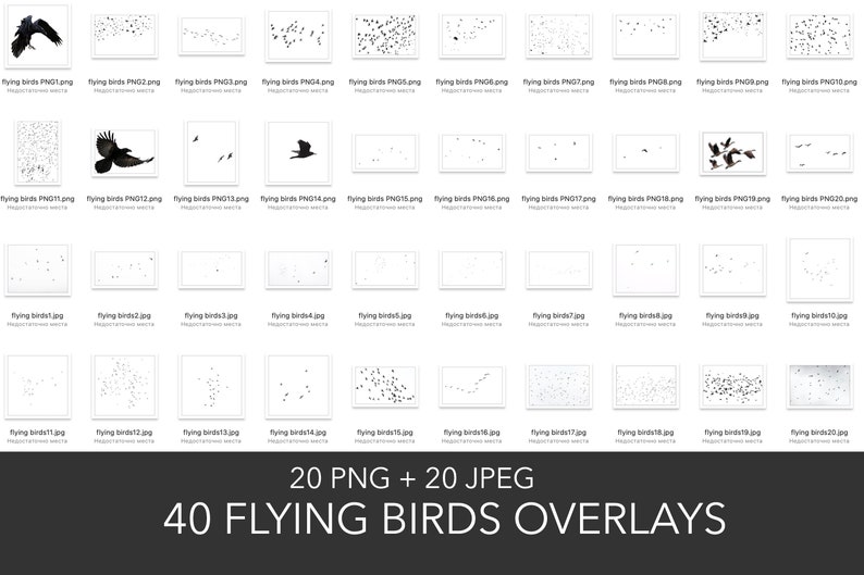 Bird Flock Png Bird Flock Overlays Bird Flock Fly Flock of - Etsy