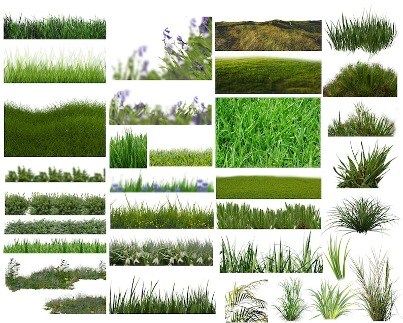 Grass Photo Overlays Glade Photoshop Overlays Grass Png - Etsy