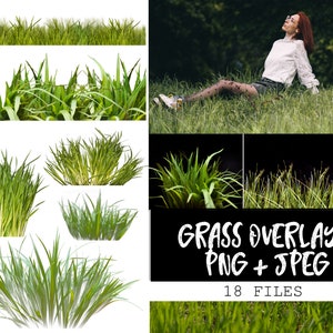 Grass Photo Overlays, Glade Photoshop Overlays, Grass Png, Foreground ...