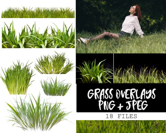 Grass Photo Overlays Glade Photoshop Overlays Grass Png - Etsy