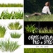 Grass Photo Overlays, Glade Photoshop Overlays, Grass Png, Foreground ...