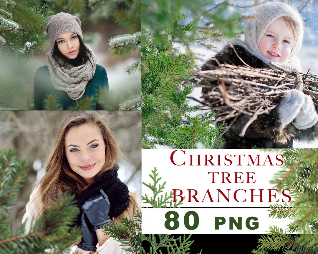 Coniferous Overlays, Evergreen Overlay Pack, Winter Digital Photoshop ...