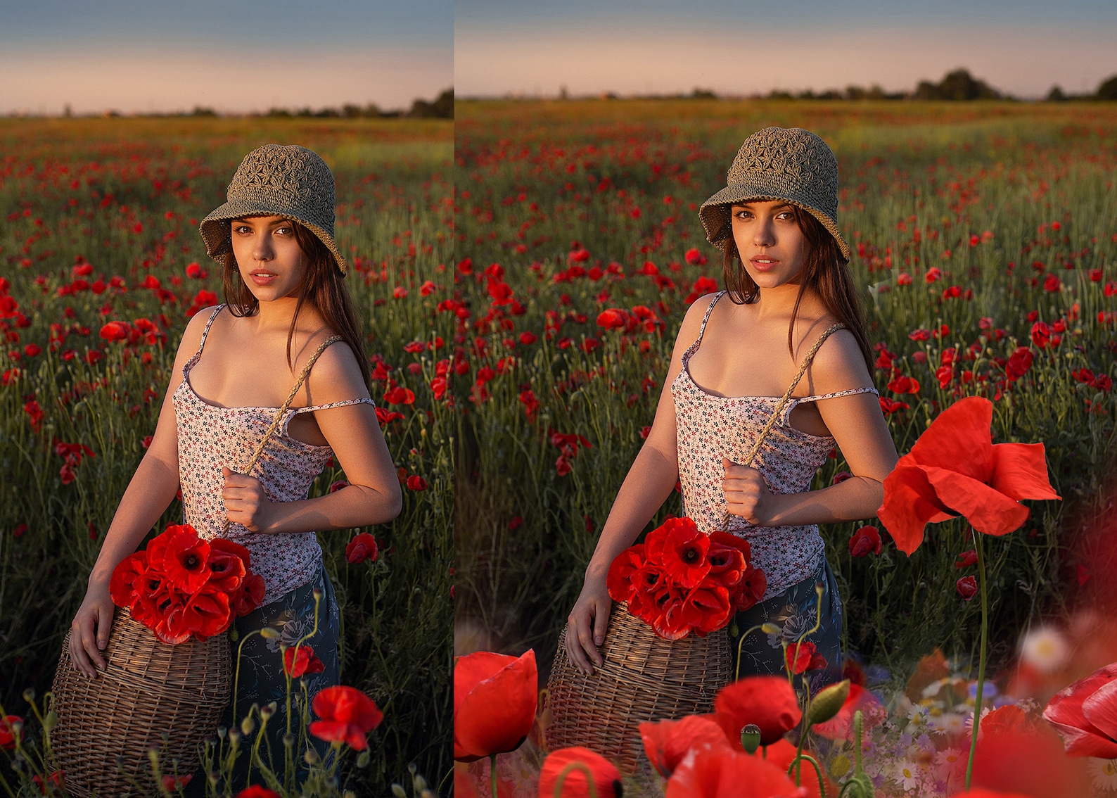 36 Red Poppies Overlays Poppy Photo Overlay Summer Flower - Etsy