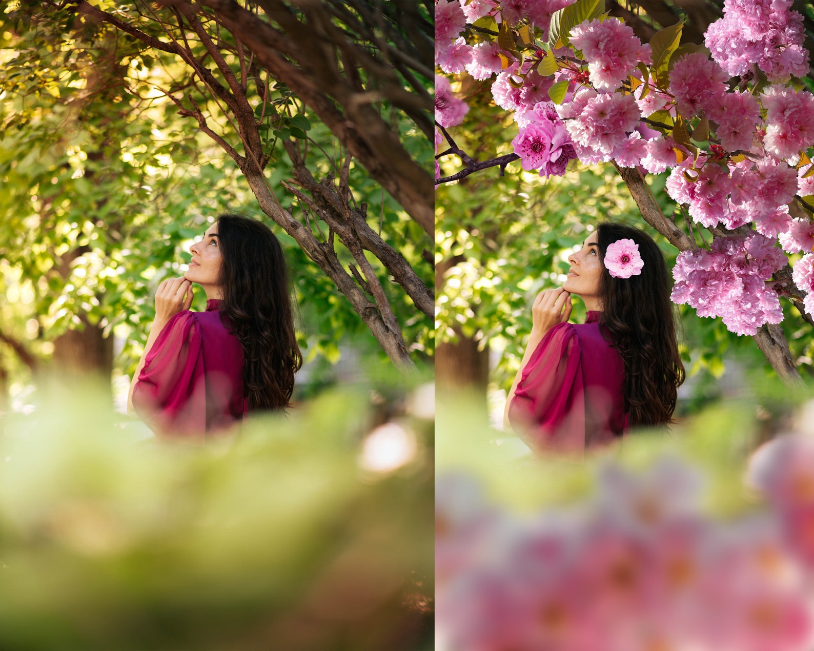 Apple Blossom Overlays Spring Overlays Spring Apple Tree - Etsy