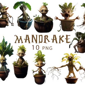 Mandrake Clipart, Mandragora Png, Baby Mandrakes Overlays, Magic Wizard ...