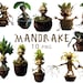 Mandrake Clipart, Mandragora Png, Baby Mandrakes Overlays, Magic Wizard ...